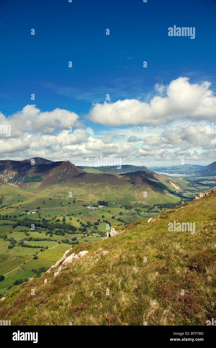 High spy hi-res stock photography and images - Alamy