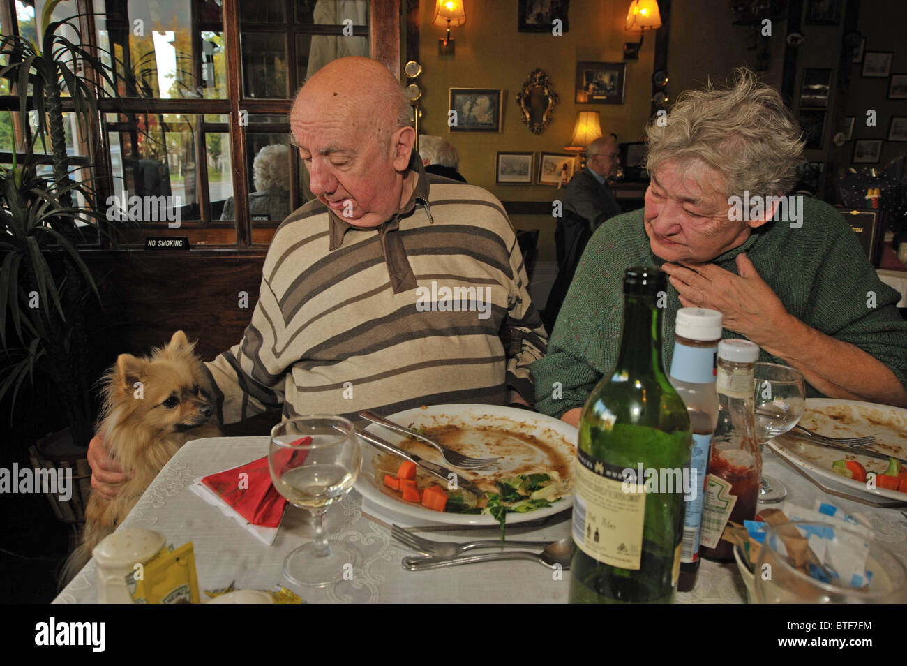An Elderly man and woman with their dog in a restaurant Stock Photo - Alamy