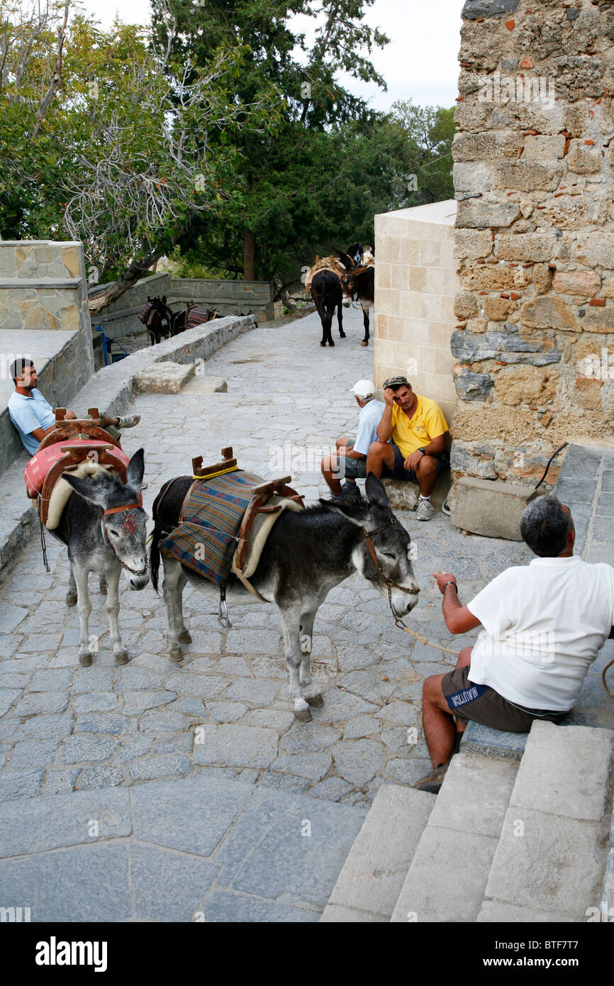Donkey outside the acropolis in Lindos, Rhodes, Greece Stock Photo - Alamy