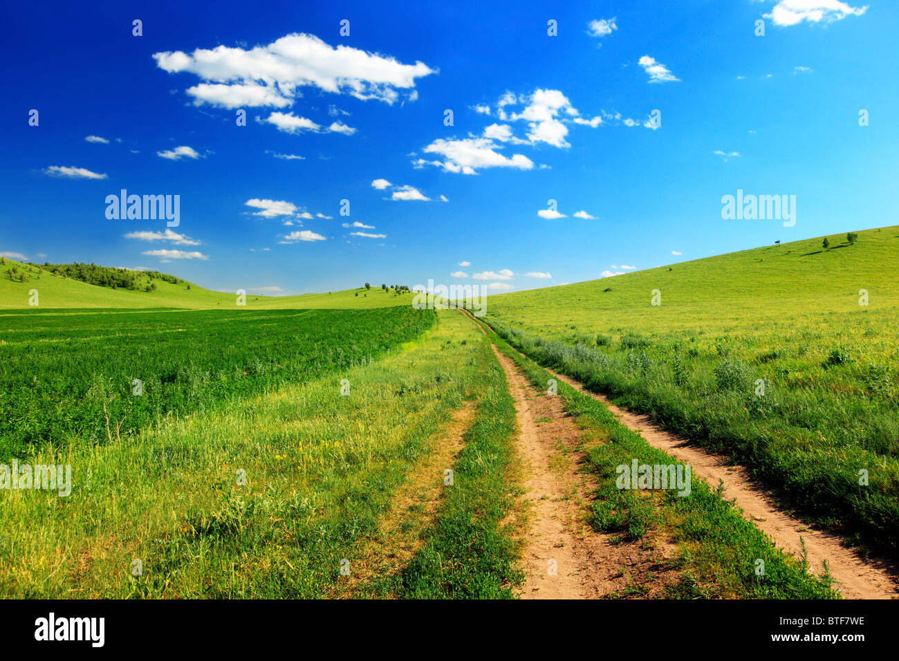 Road in meadow Stock Photo - Alamy
