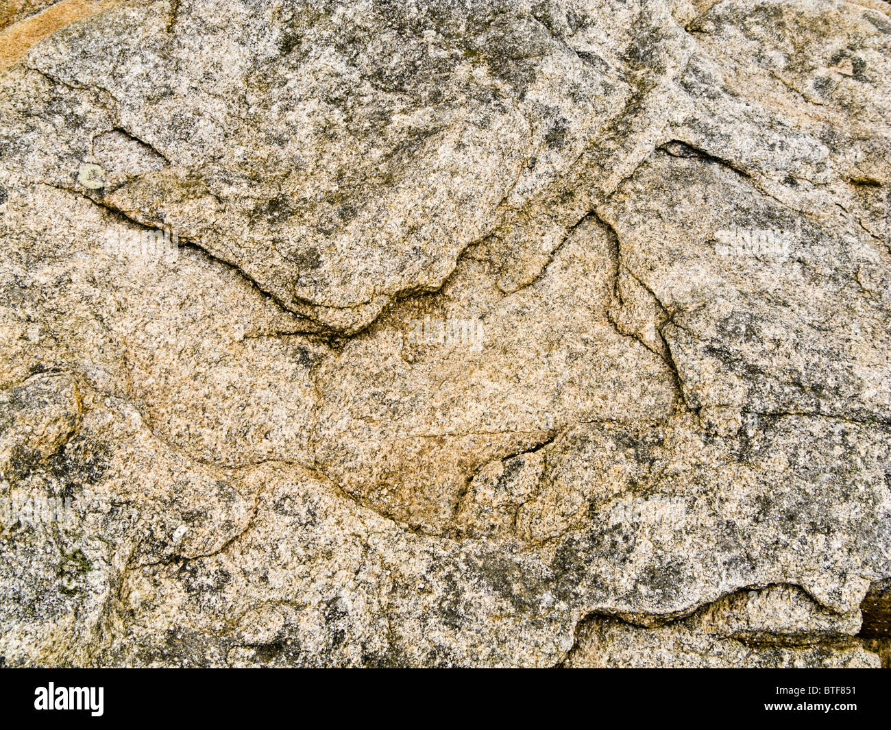 Backgrounds Stock Photos & Images from Alamy