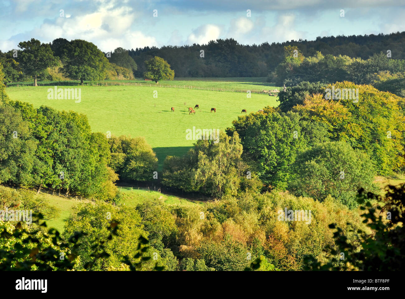 The surrey hills hi-res stock photography and images - Alamy