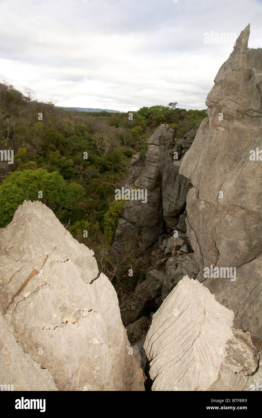 Madagascar, Ankarana Special Reserve. Tsingy - eroded limestone Stock ...