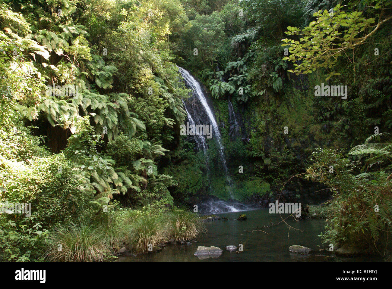 Madagascar, Amber National Park. Antankarana waterfall Stock Photo - Alamy