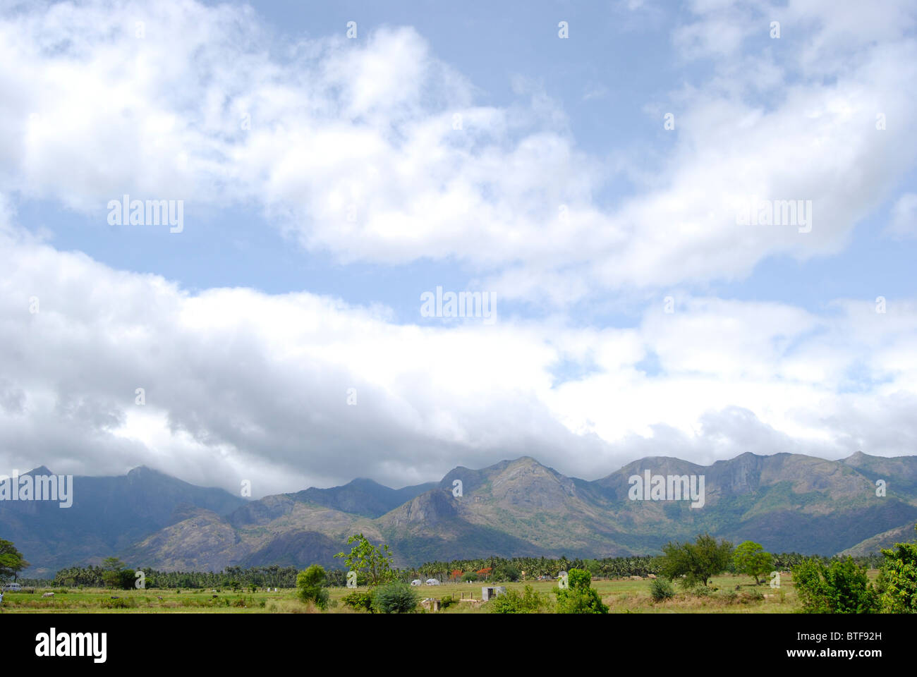 Pollachi hi-res stock photography and images - Alamy