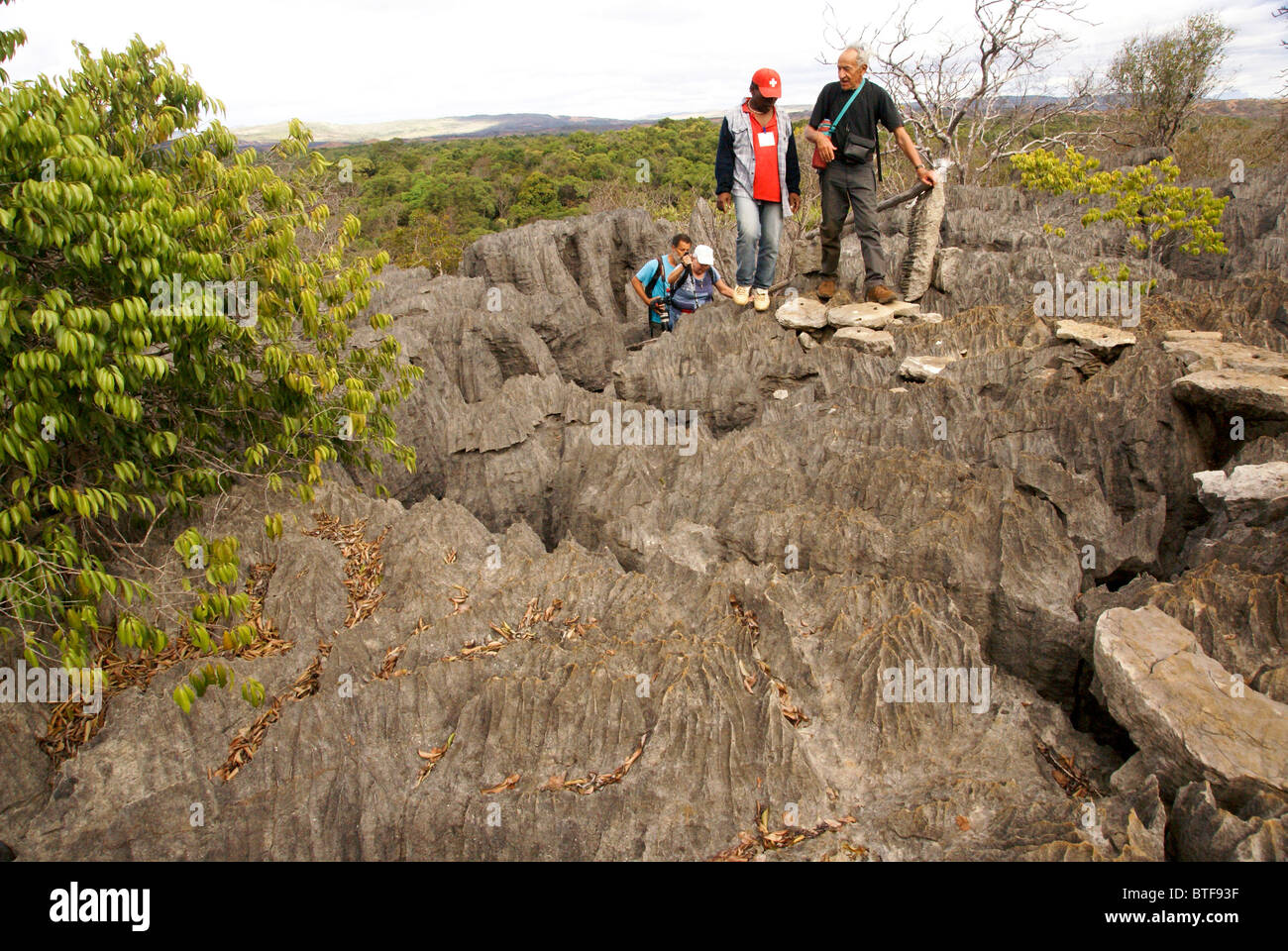 Madagascar, Ankarana Special Reserve. Tsingy - eroded limestone Stock ...