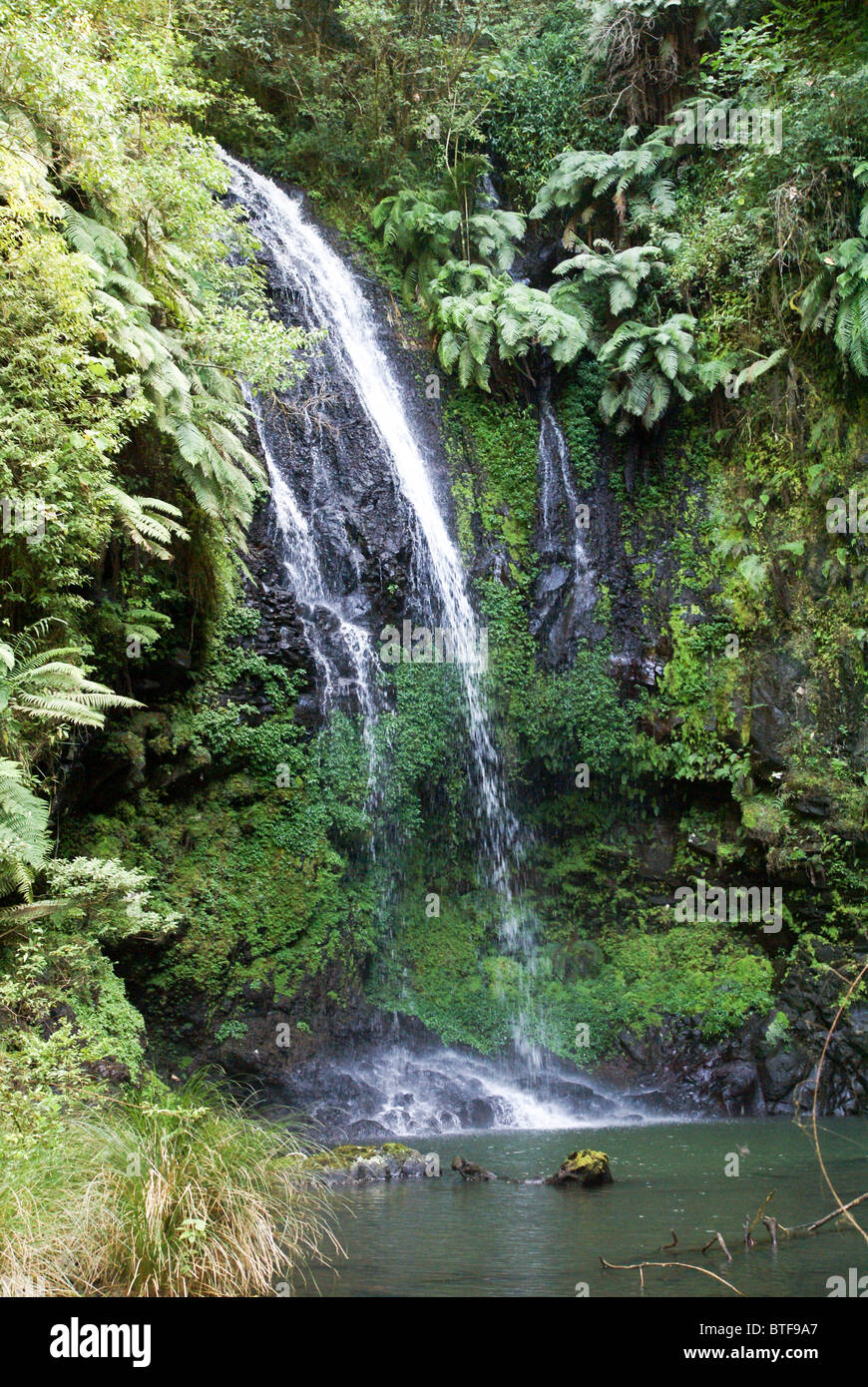 Madagascar, Amber National Park. Antankarana waterfall Stock Photo - Alamy