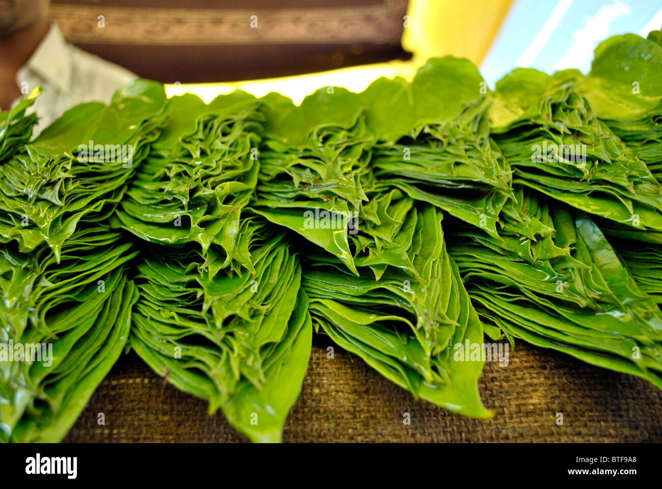 Indian paan hi-res stock photography and images - Alamy