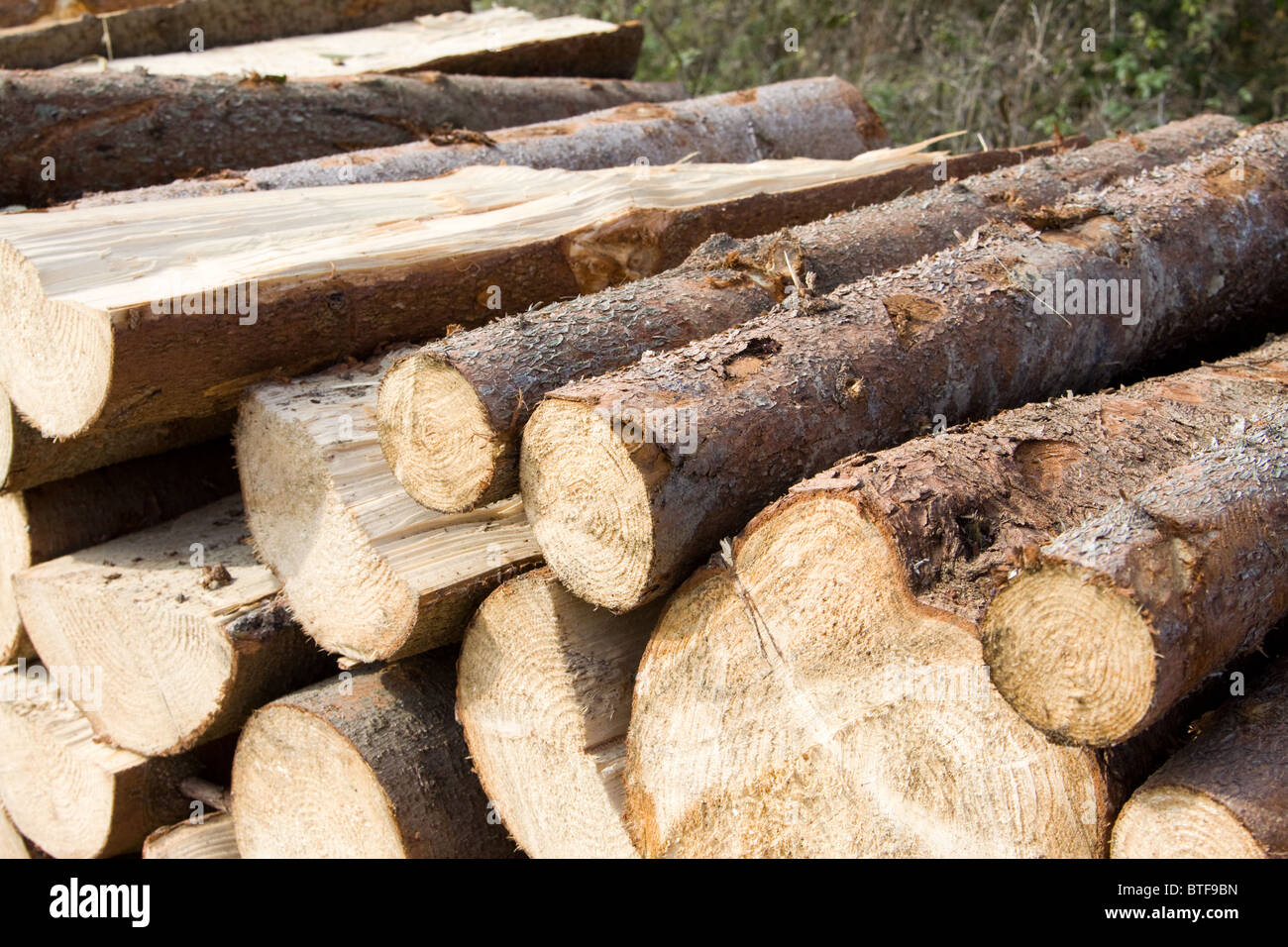 A stack of sawn logs waiting to be processed in Bieszczady Stock Photo ...