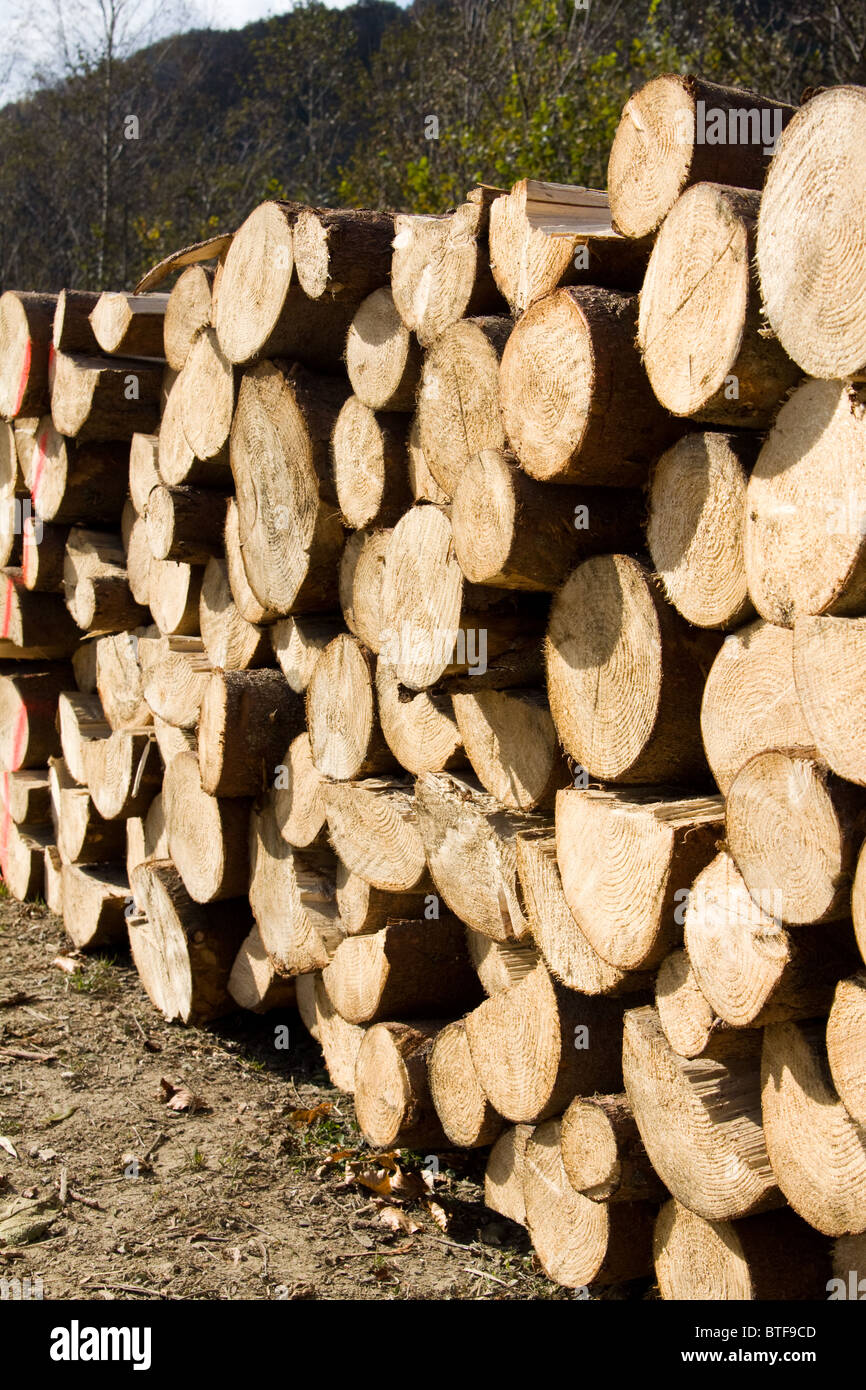 A stack of sawn logs waiting to be processed in Bieszczady Stock Photo ...