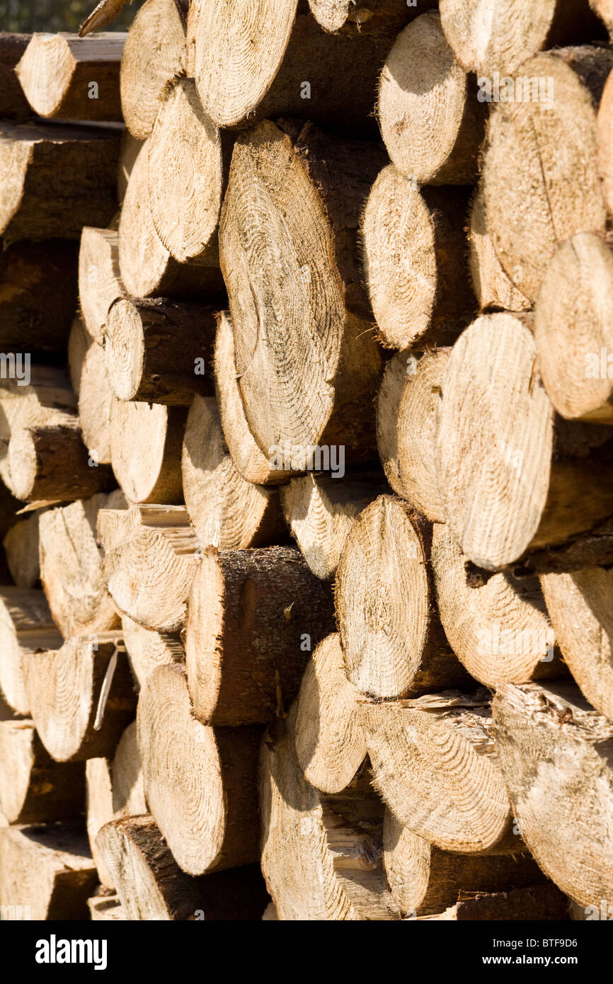 A stack of sawn logs waiting to be processed in Bieszczady Stock Photo ...