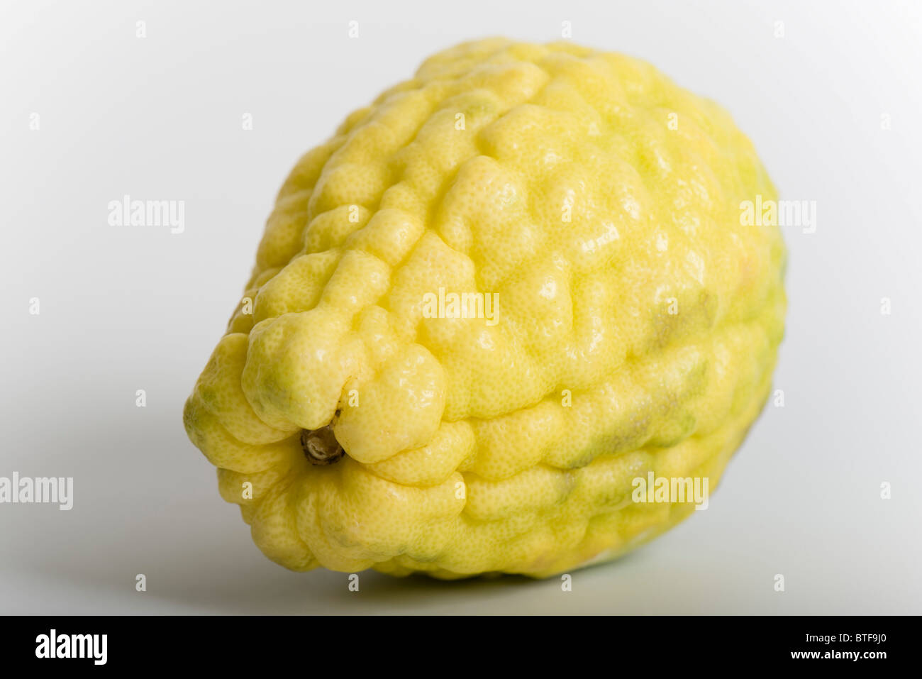 Remarkable biodiversity hi-res stock photography and images - Alamy