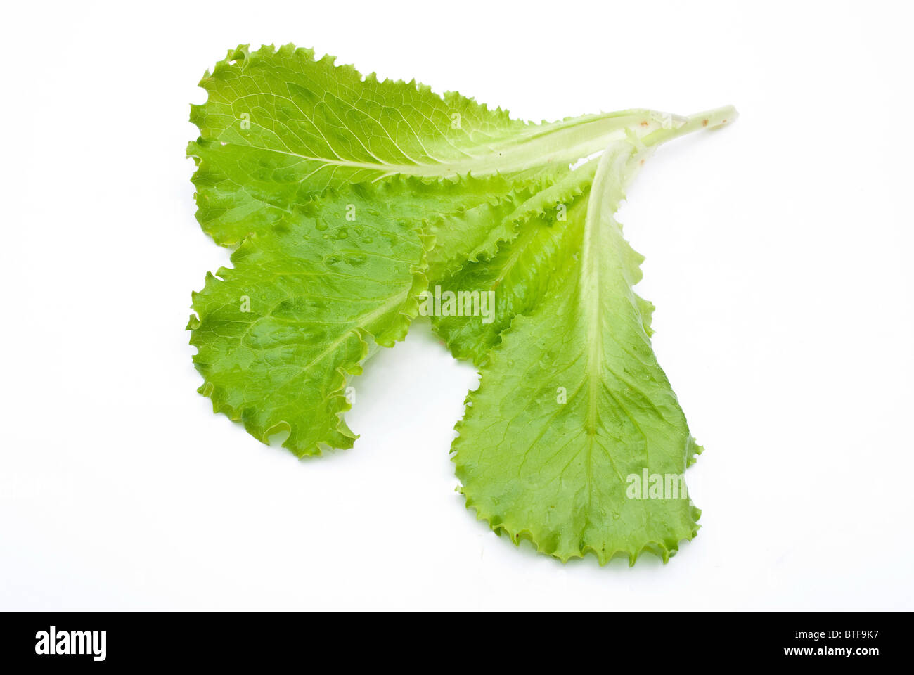Vegetable salad fresh lettuce Cut Out Stock Images & Pictures - Alamy