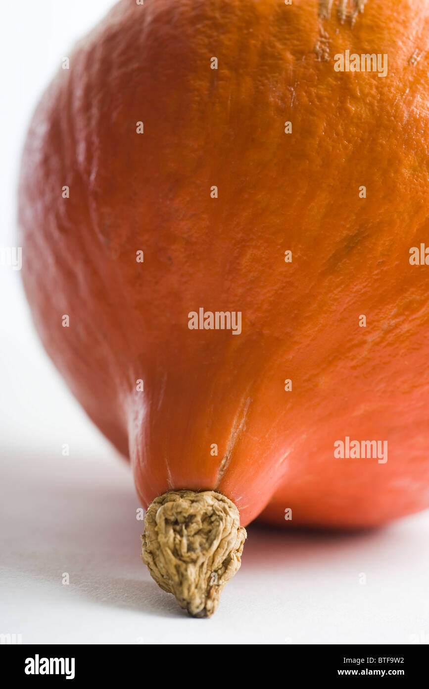 Potimarron hi-res stock photography and images - Alamy