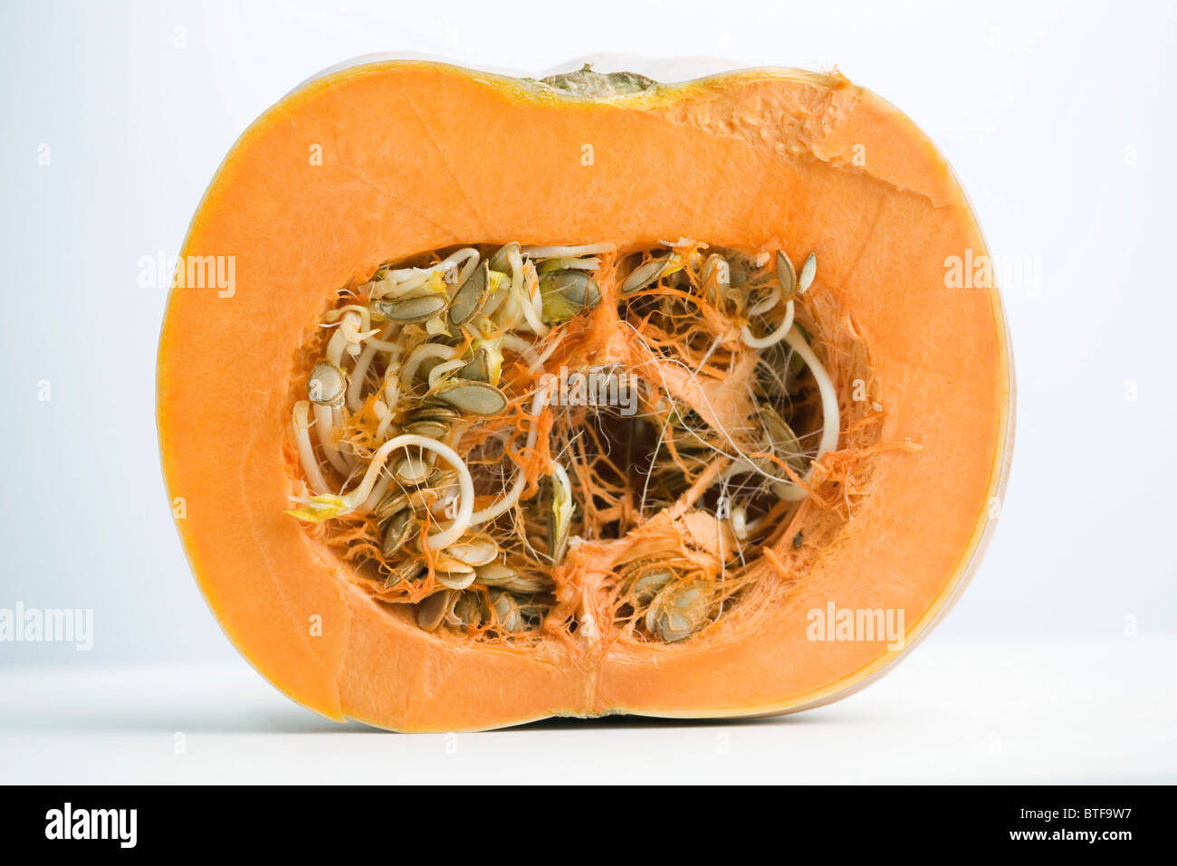 Fibrous strands hi-res stock photography and images - Alamy