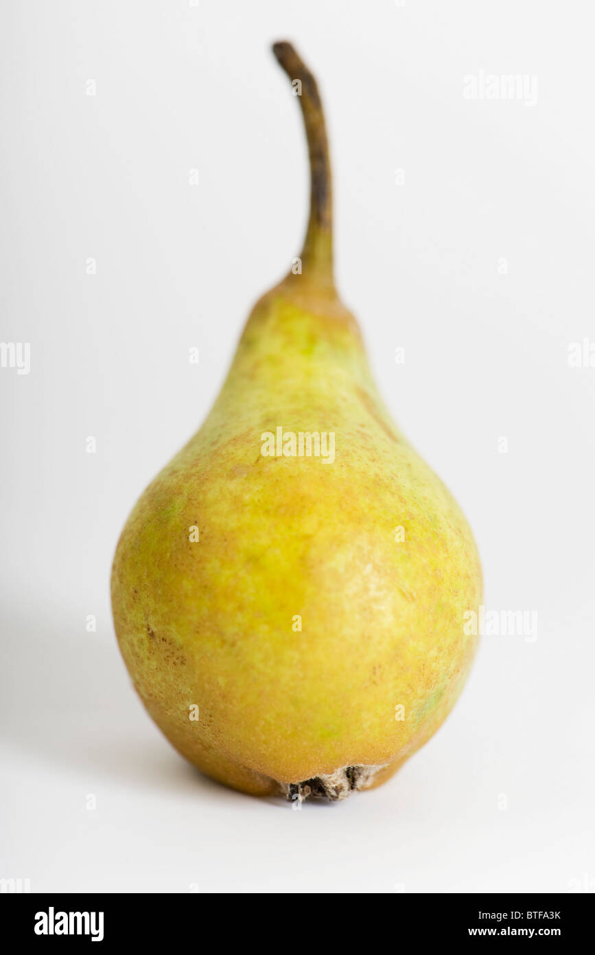 Pears stalk close up hi-res stock photography and images - Alamy