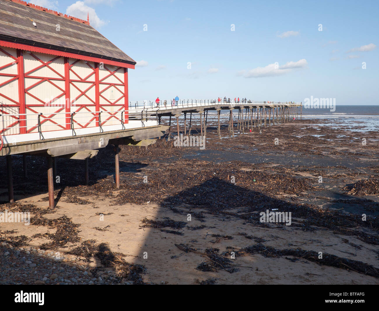 Saltburn beach heavily covered in seaweed after a storm Stock Photo - Alamy