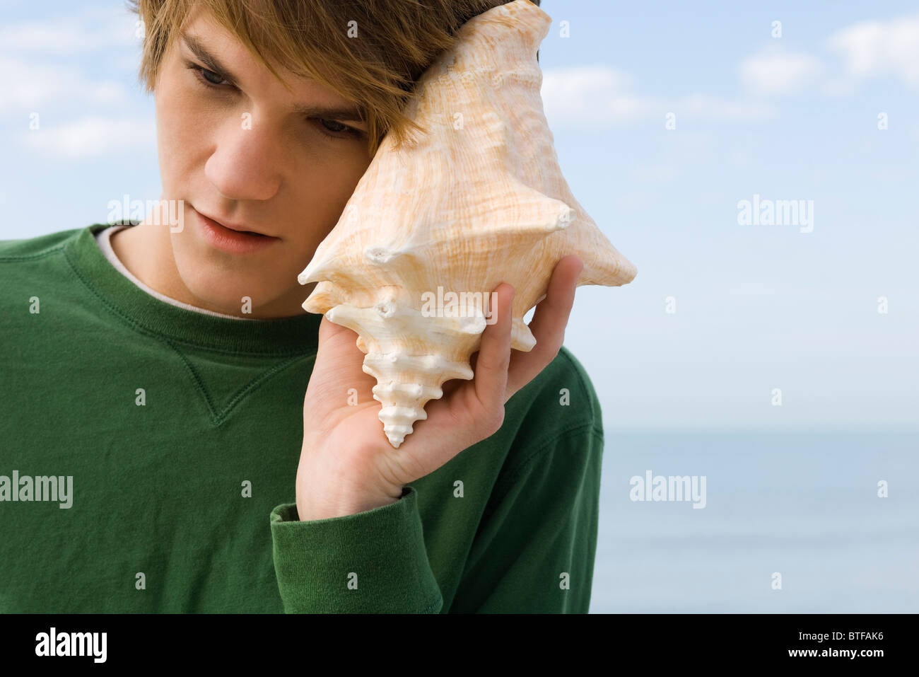 Conchshells hi-res stock photography and images - Alamy
