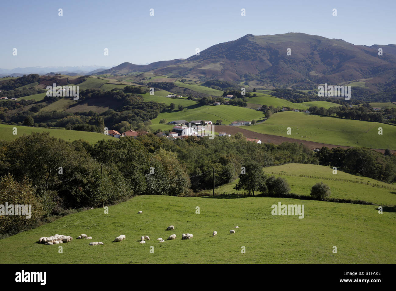 Greater blue mountains hi-res stock photography and images - Alamy