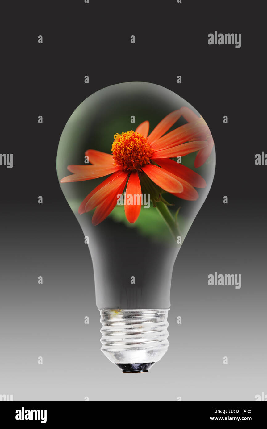 Flower power light bulb Stock Photo - Alamy