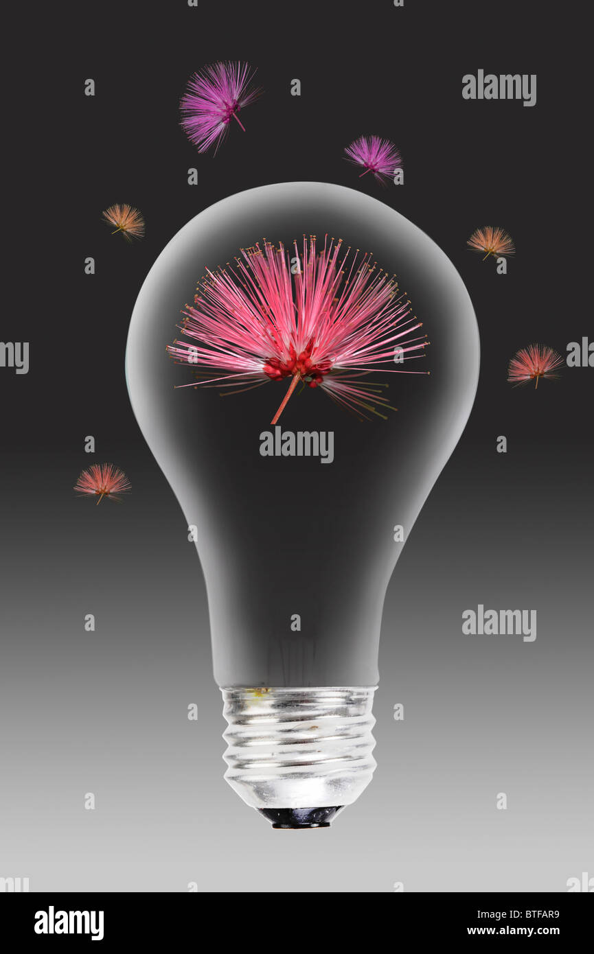 Flower power light bulb Stock Photo - Alamy