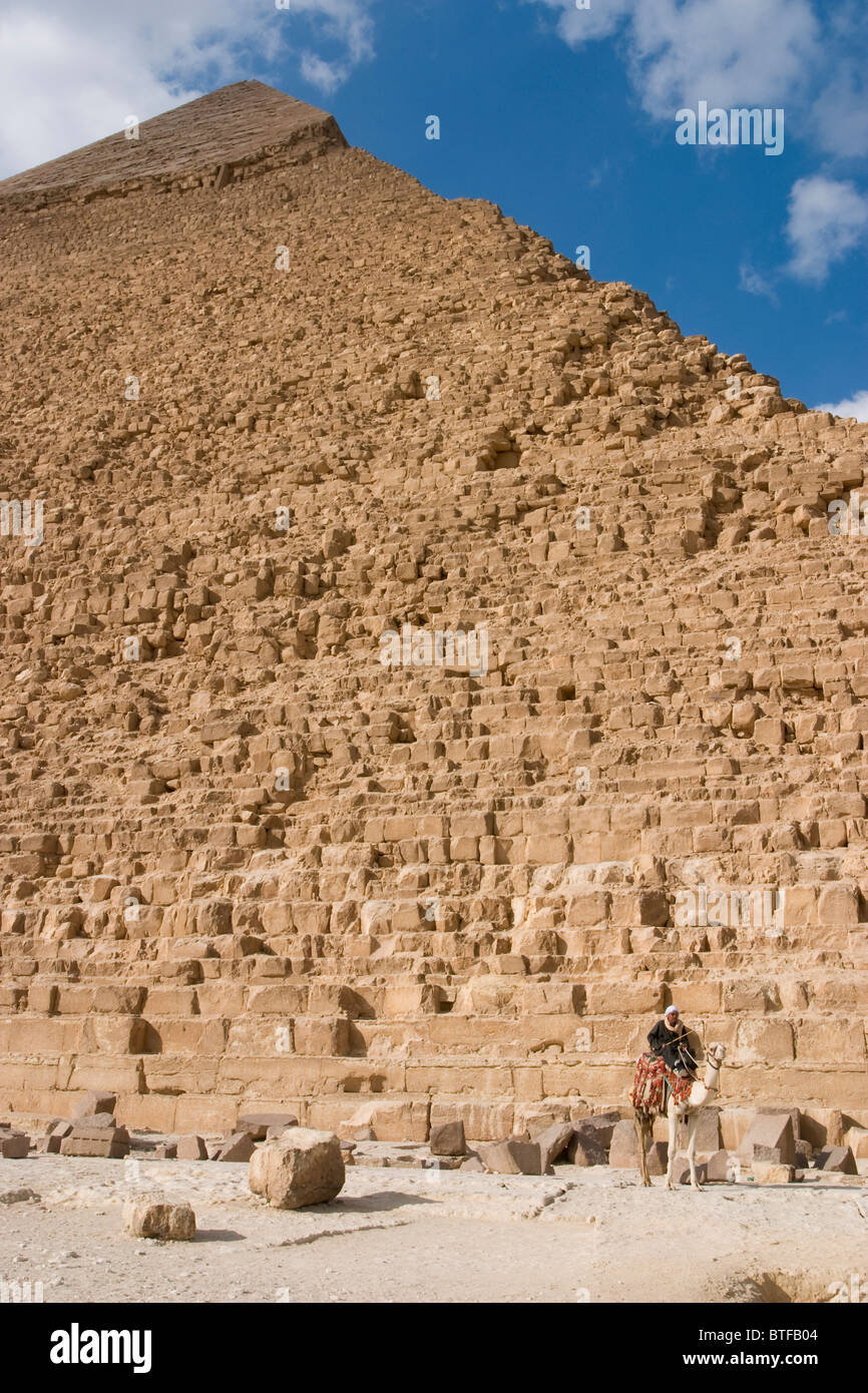 Camel and handler standing in front of the pyramid at Giza, Cairo ...