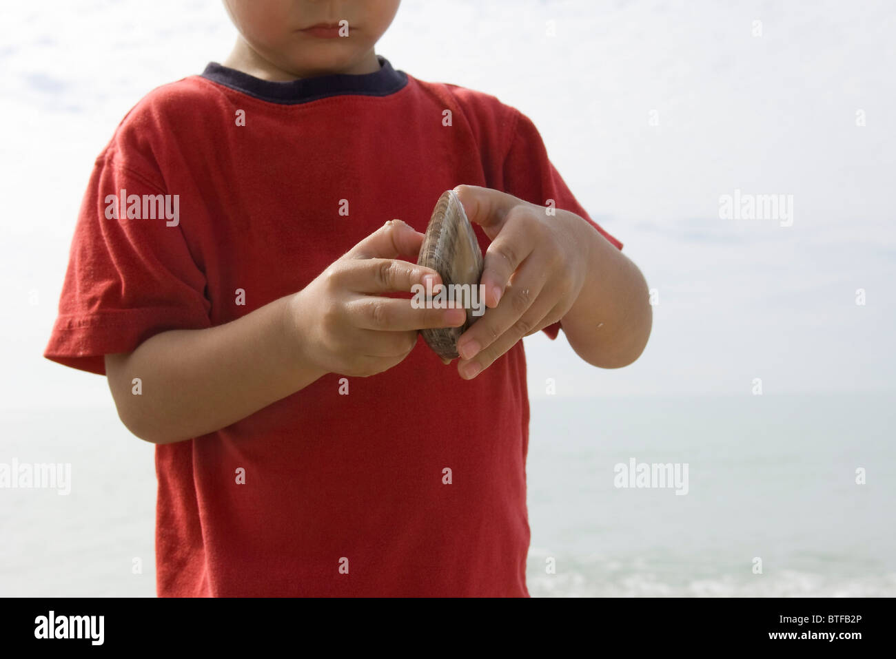 Seashells Boy Stock Photos & Seashells Boy Stock Images - Alamy