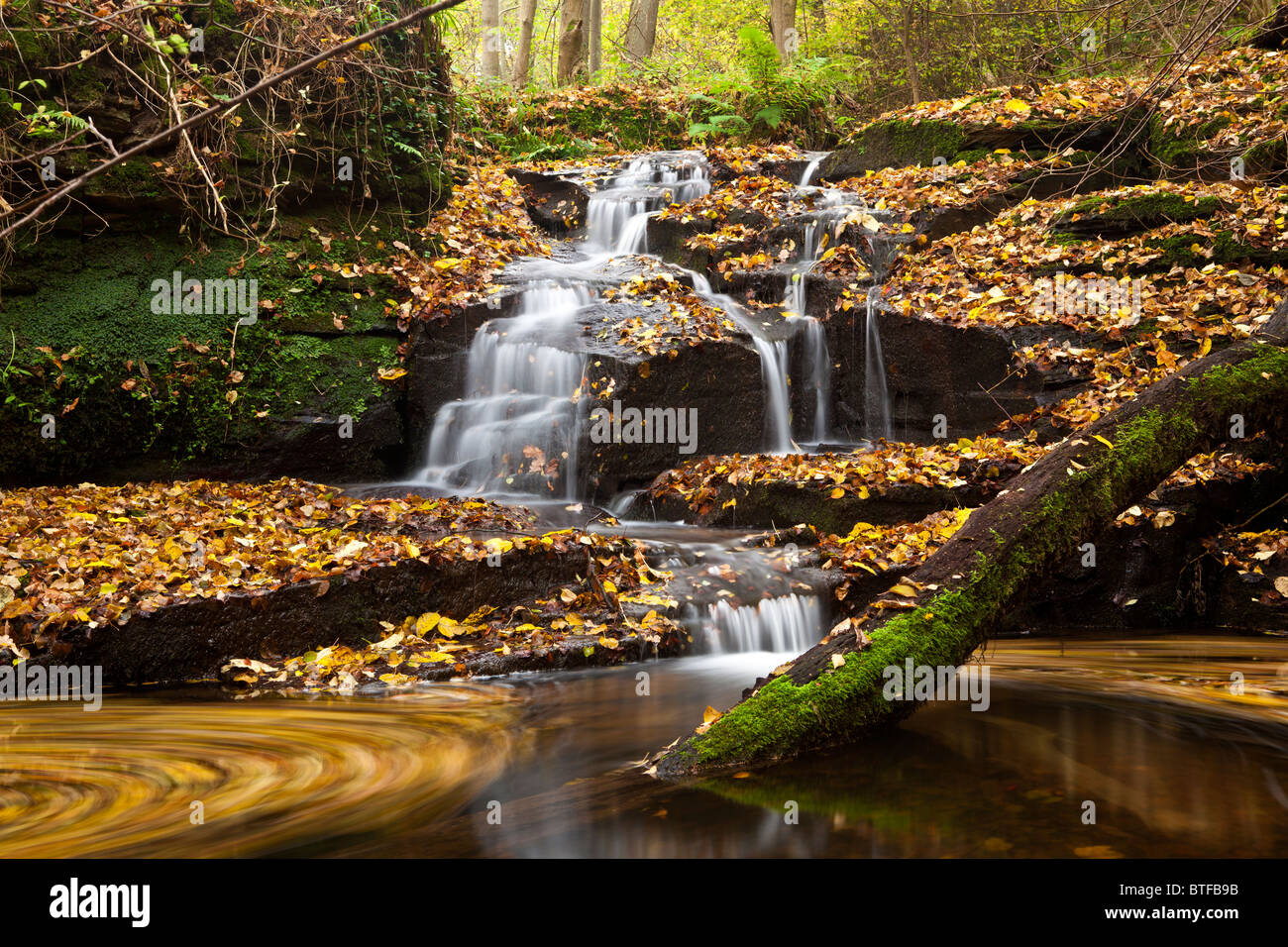 Autumnal woodland scene with stream and waterfall Stock Photo - Alamy