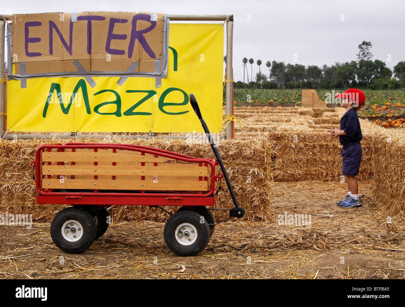 Young boy studying a hay bale maze before entering Stock Photo - Alamy
