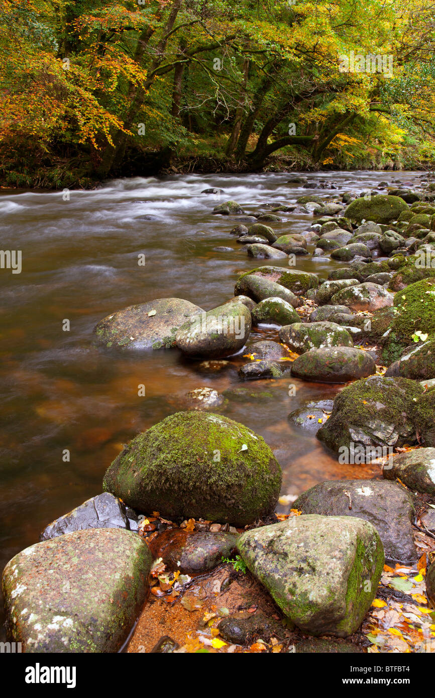 Shallow river in the wood hi-res stock photography and images - Alamy