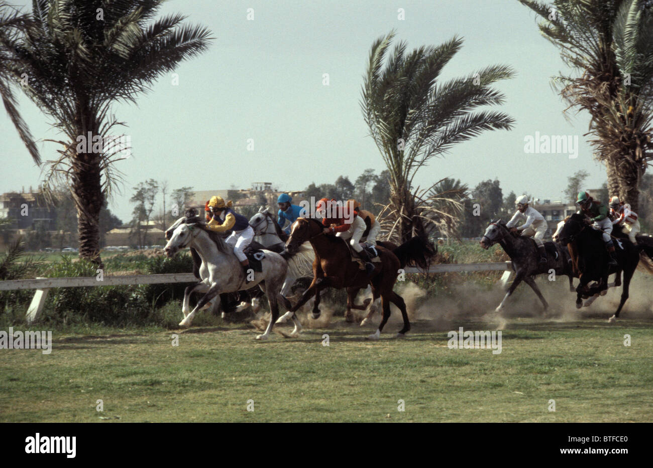 Horse Racing Betting Gambling High Resolution Stock Photography and ...
