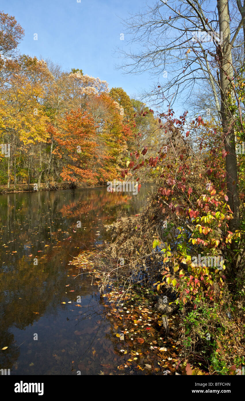 Leaf fall on canal towpath hi-res stock photography and images - Alamy