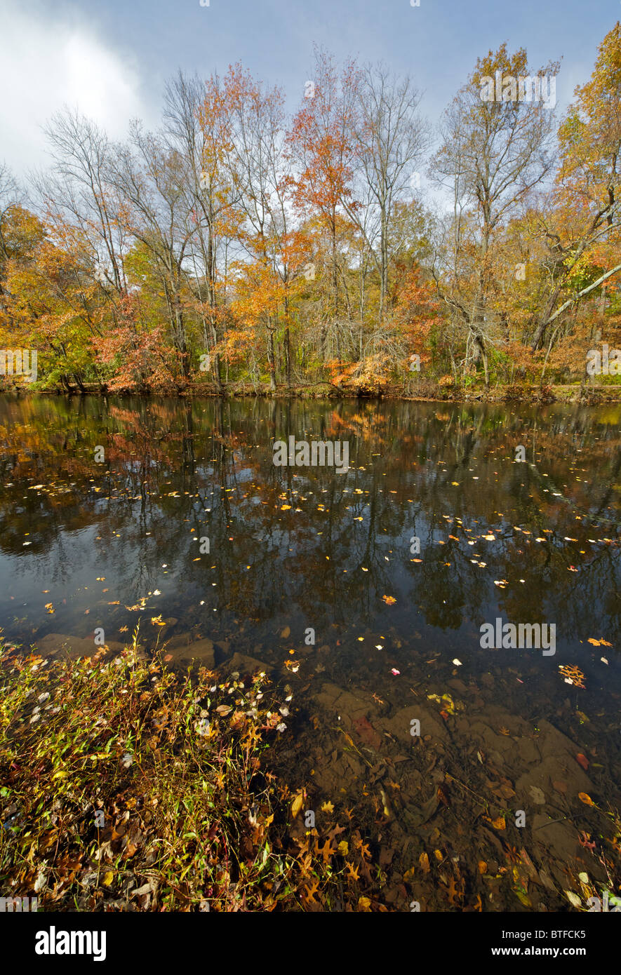 Leaf fall on canal towpath hi-res stock photography and images - Alamy