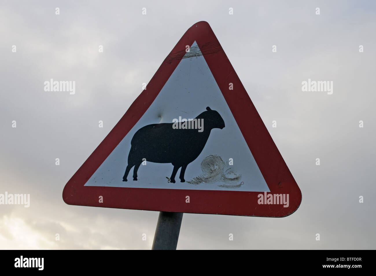 Beware of sheep sign Stock Photo - Alamy