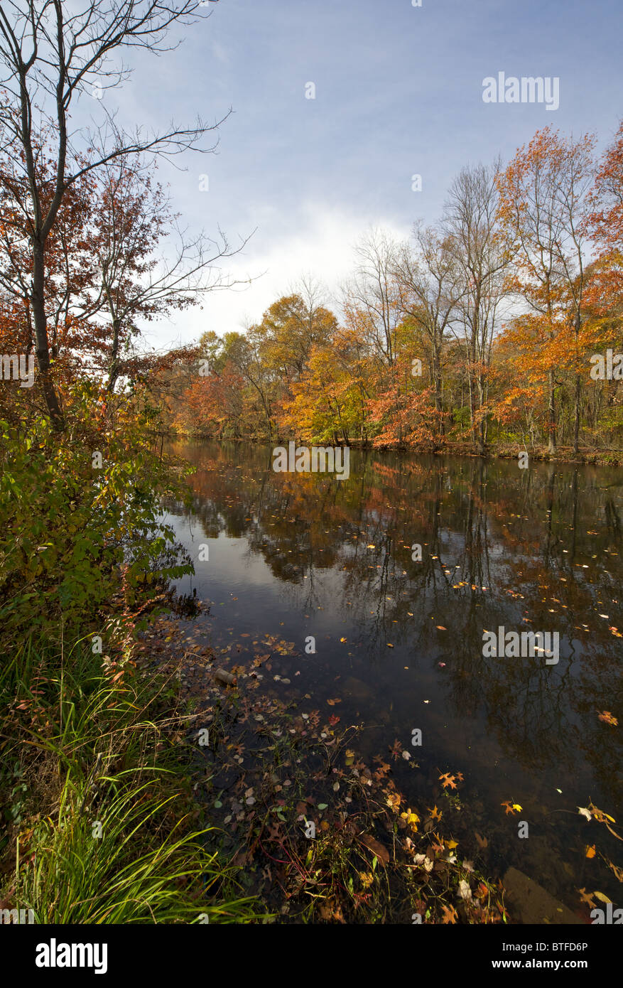 Leaf fall on canal towpath hi-res stock photography and images - Alamy