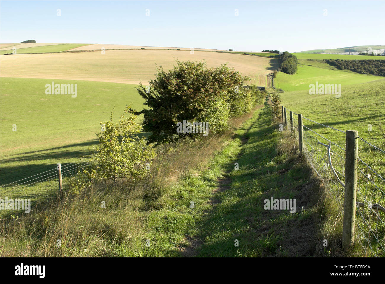 Looking over Cow Bottom towards Beeding Hill from near Lancing Hill ...