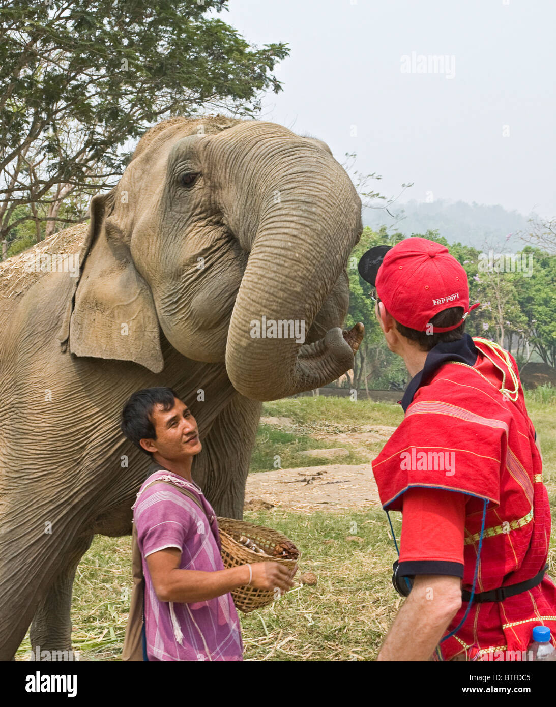 Man feeds treat to 'his' elephant at Patara Elephant Farm, an elephant ...