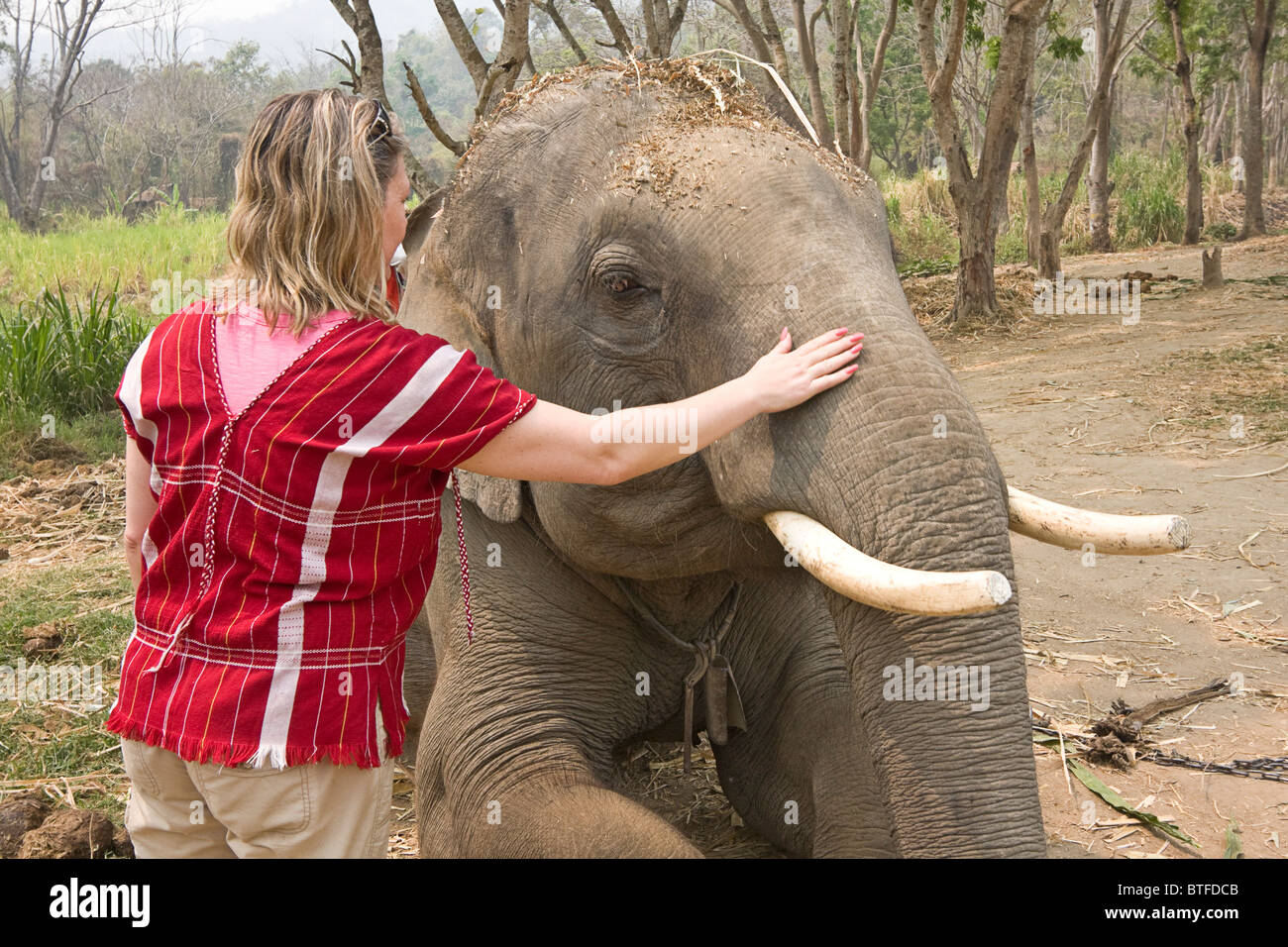Tourists learn how to greet and feed 'their' elephant at Patara ...