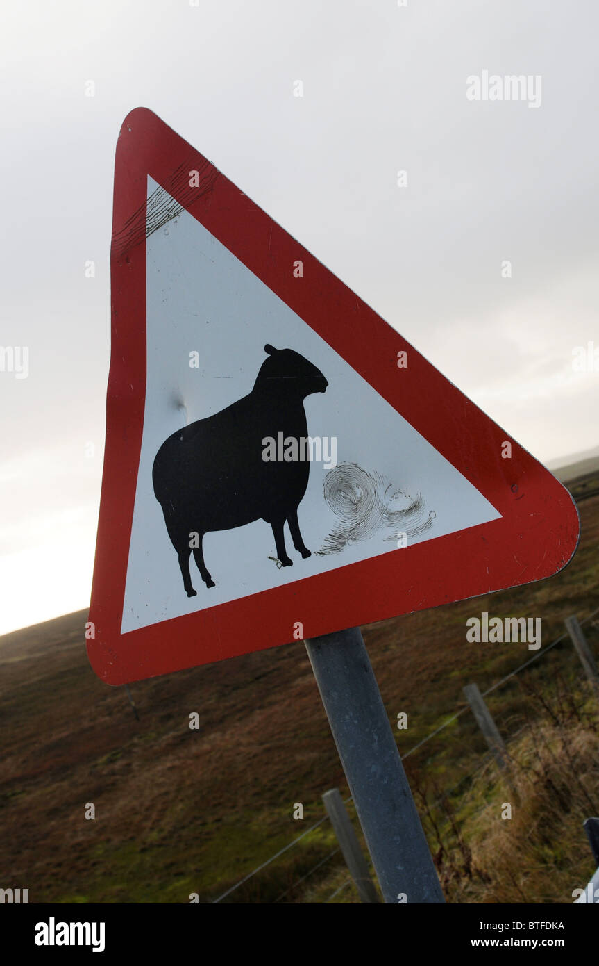 Sheep holding sign hi-res stock photography and images - Alamy