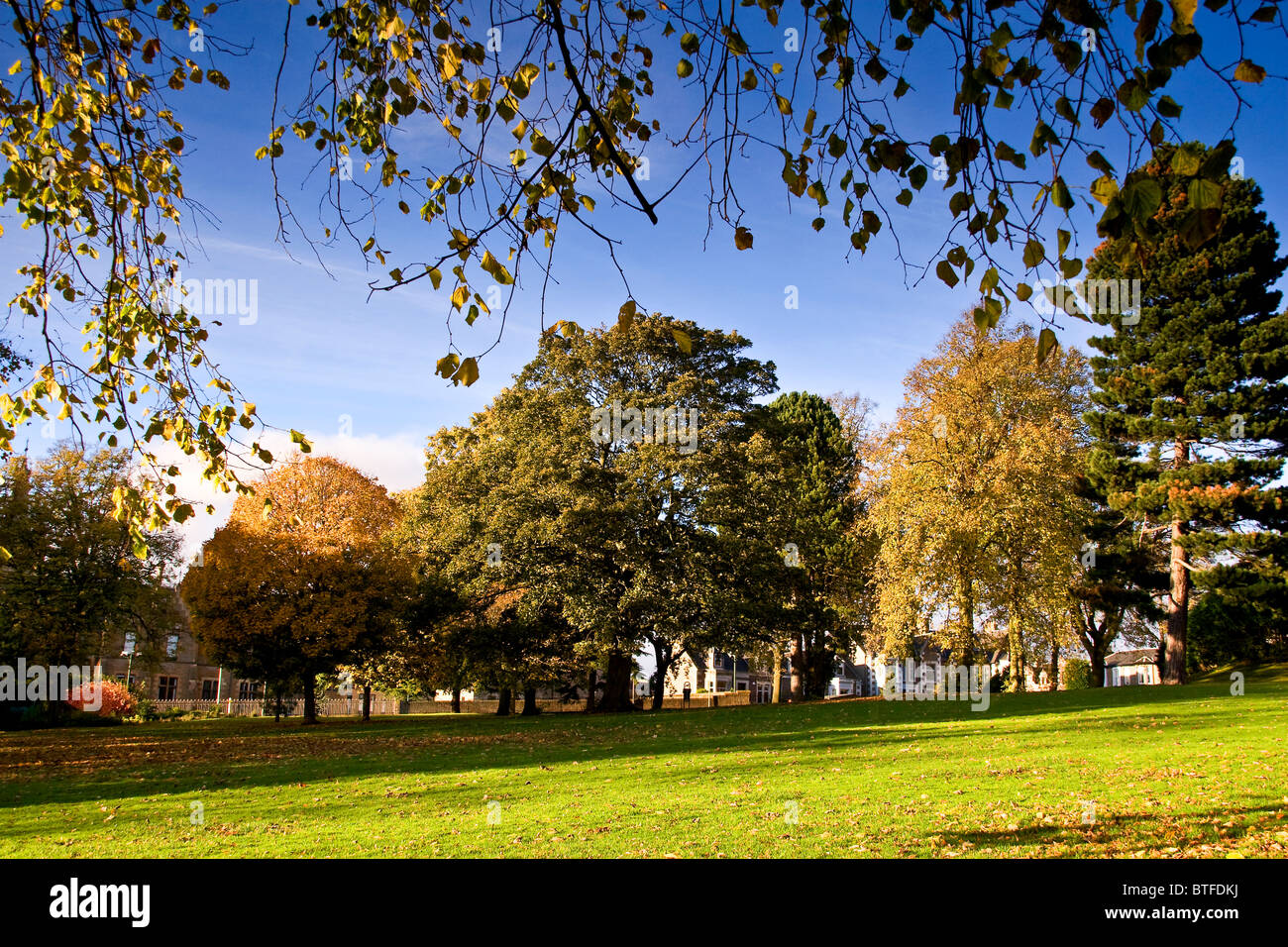 Trees in October sunshine showing their Autumnal colours inside Baxter ...