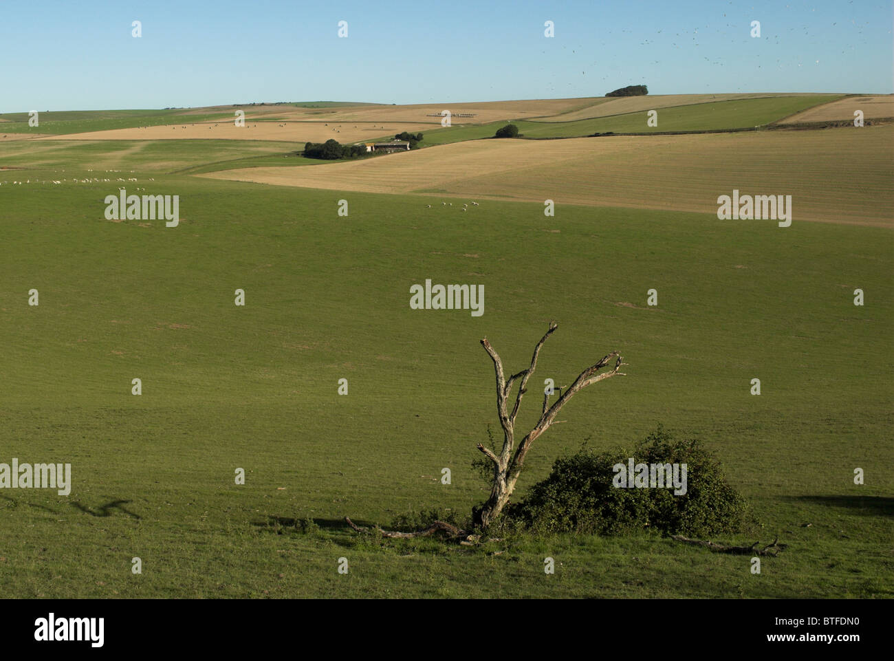 A view over to Coombe Head from below Lancing Hill in the South Downs ...