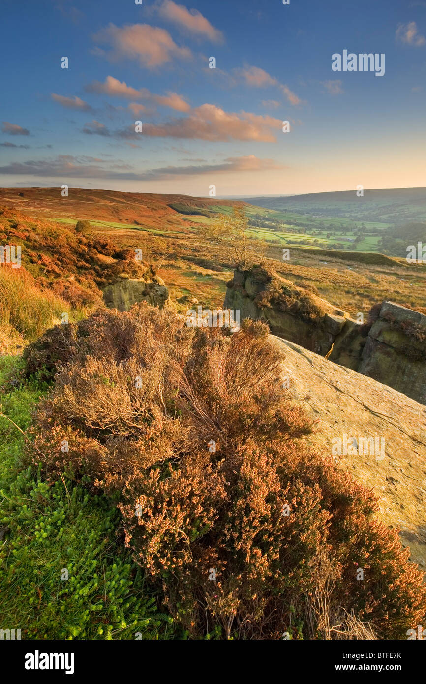 View across to Blakey Ridge from Blakey Howe in The North York Moors ...