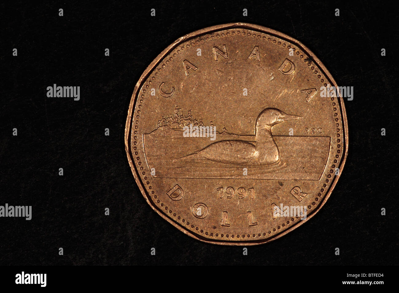 Canadian one dollar coin featuring the common loon or great northern ...