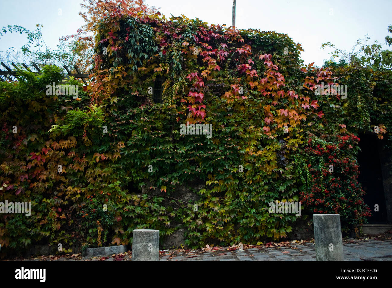 Paris, France, Urban Garden Wall in Autumn, Fall Season, Montmartre ...