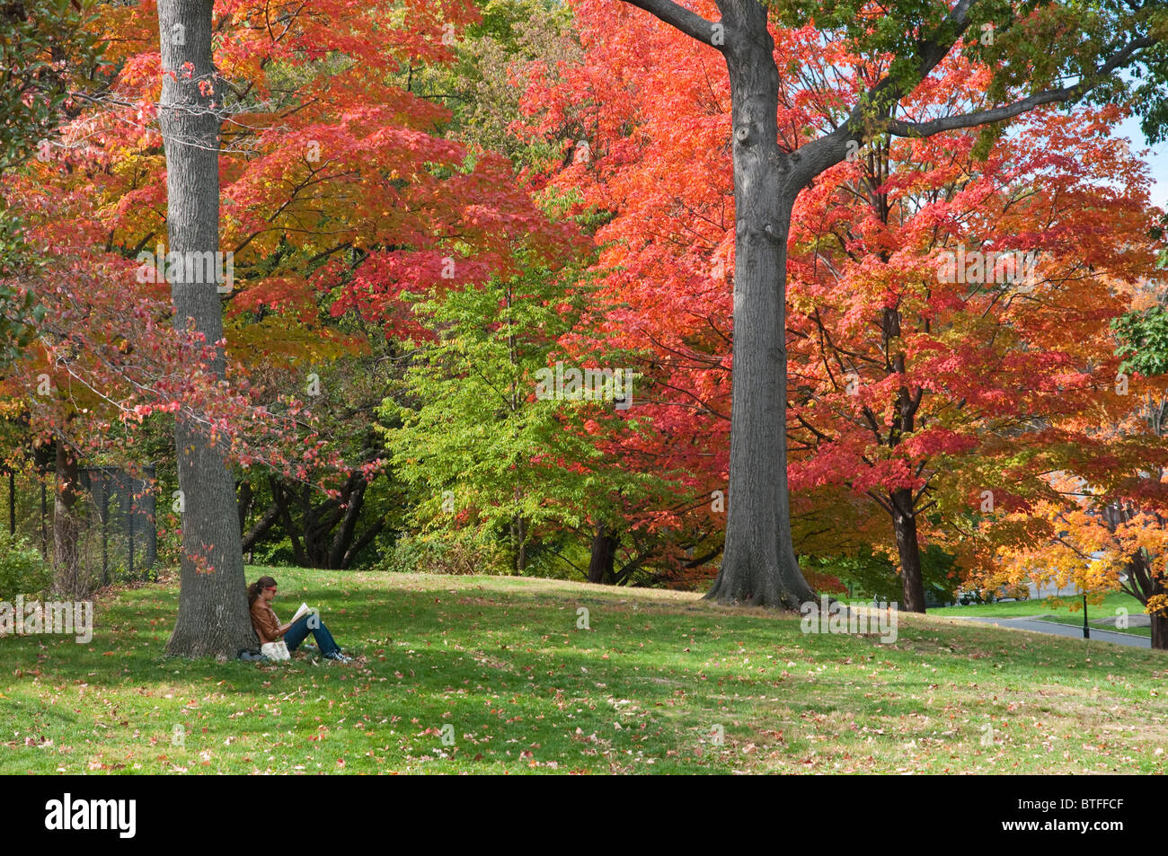 Manhattan central park 2010 hi-res stock photography and images - Alamy