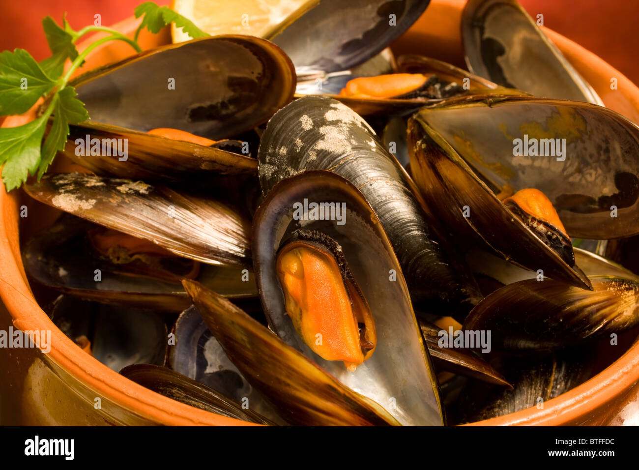 First courses hi-res stock photography and images - Alamy