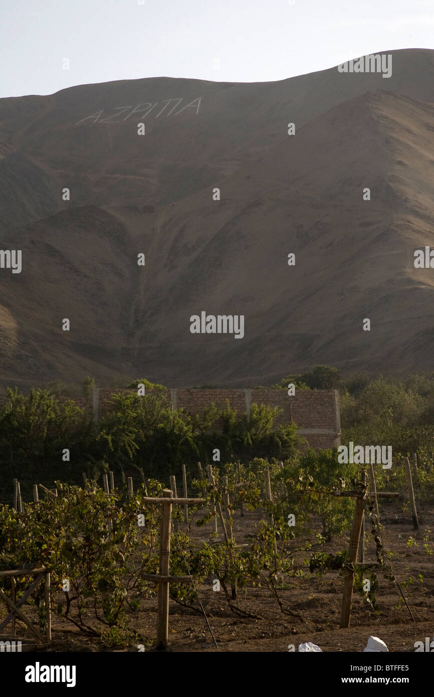 The El Sarcay de Azpitia vineyards and Pisco distillery south of Lima ...