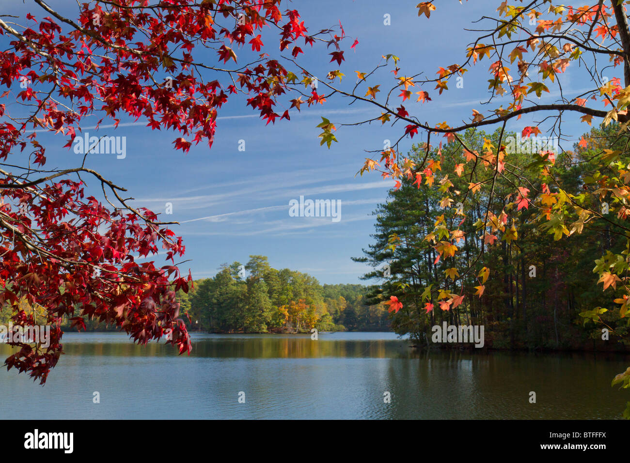 Forest around lake fall hi-res stock photography and images - Alamy