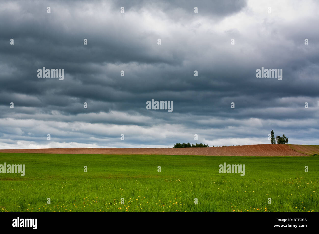 Rural grassland with sky and clouds Stock Photo - Alamy
