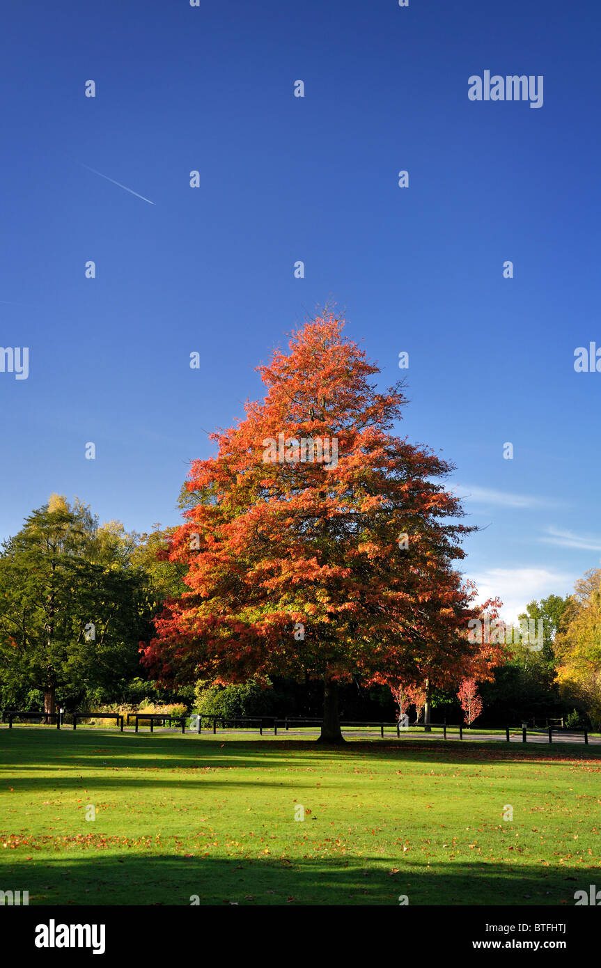Jesus green park autumn hi-res stock photography and images - Alamy